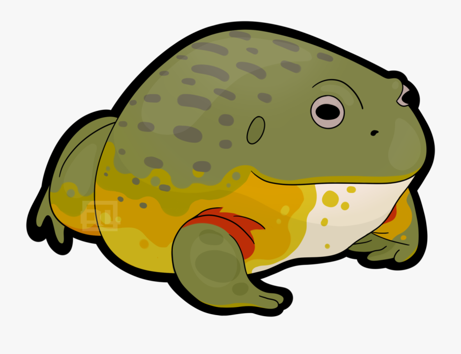 Pixie Frog Fat African Bullfrog , Free Transparent Clipart - ClipartKey