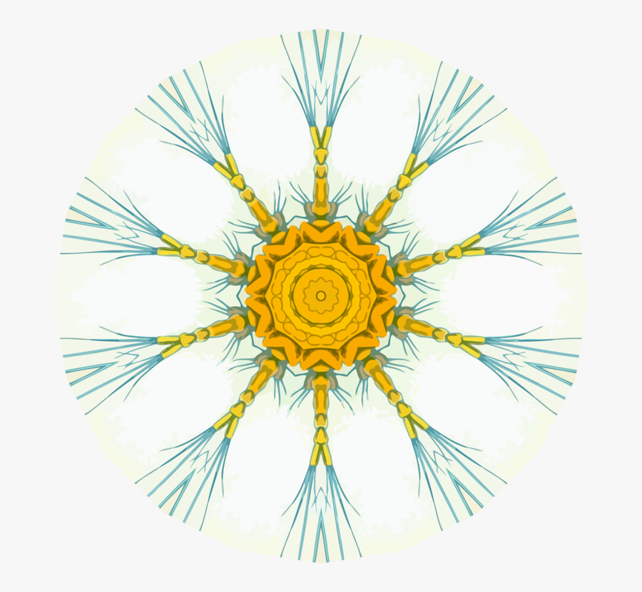 Symmetry,yellow,circle - Drawing , Free Transparent Clipart - ClipartKey