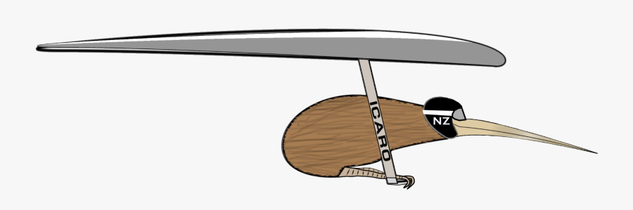 Piciformes , Free Transparent Clipart - ClipartKey