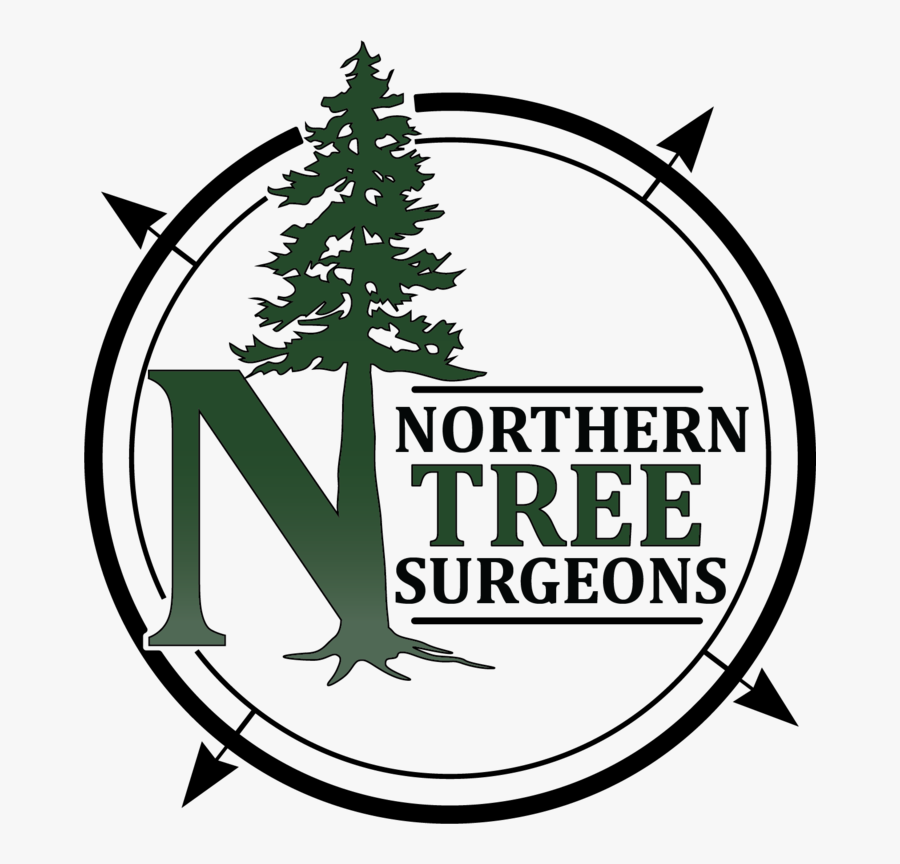 Northern Tree Surgeons, Offering Arborist And Forestry , Free ...