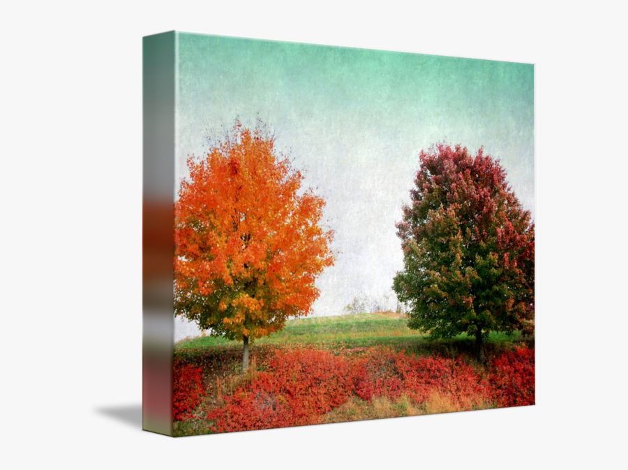Clip Art October Trees - Autumn , Free Transparent Clipart - ClipartKey