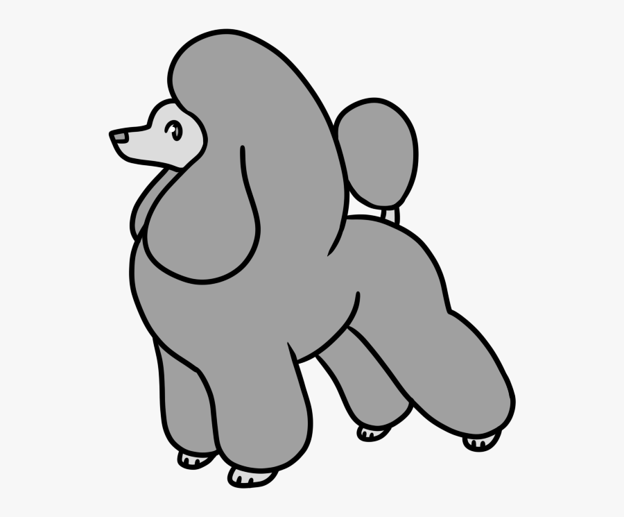 Toy Poodle Base - Cartoon , Free Transparent Clipart - ClipartKey