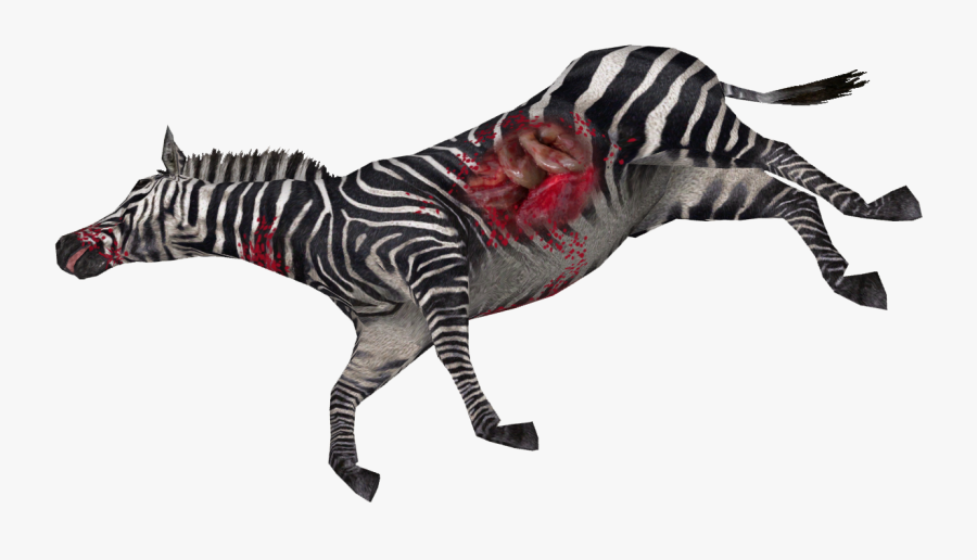Zebra Png High-quality Image - Dead Animal Clipart Transparent , Free ...