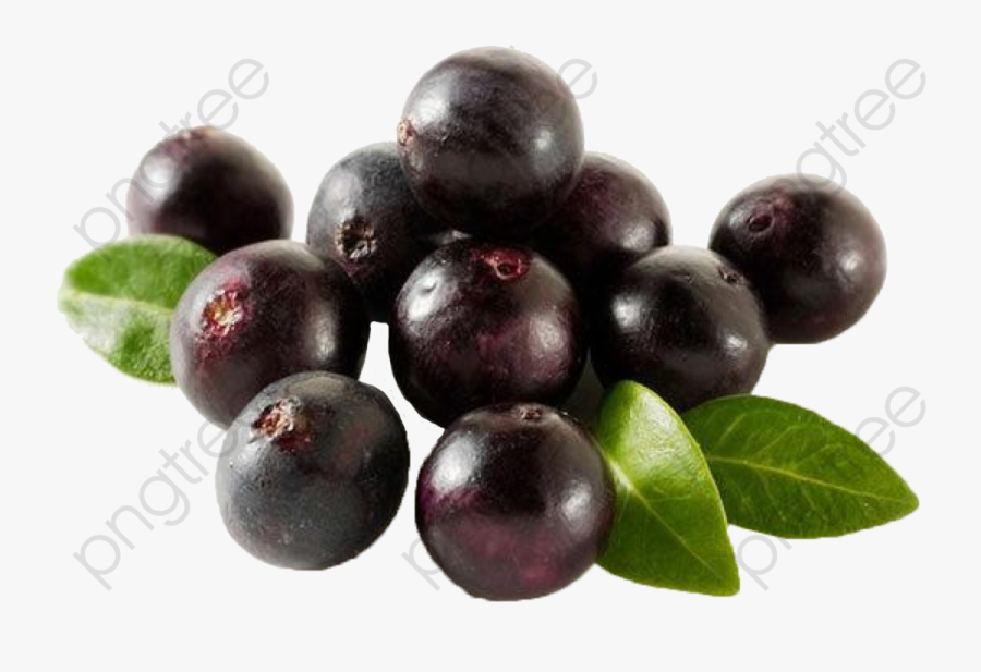 Berry - Acai Fruit Png , Free Transparent Clipart - ClipartKey