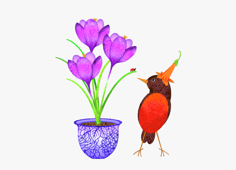 Snow Crocus , Free Transparent Clipart - ClipartKey