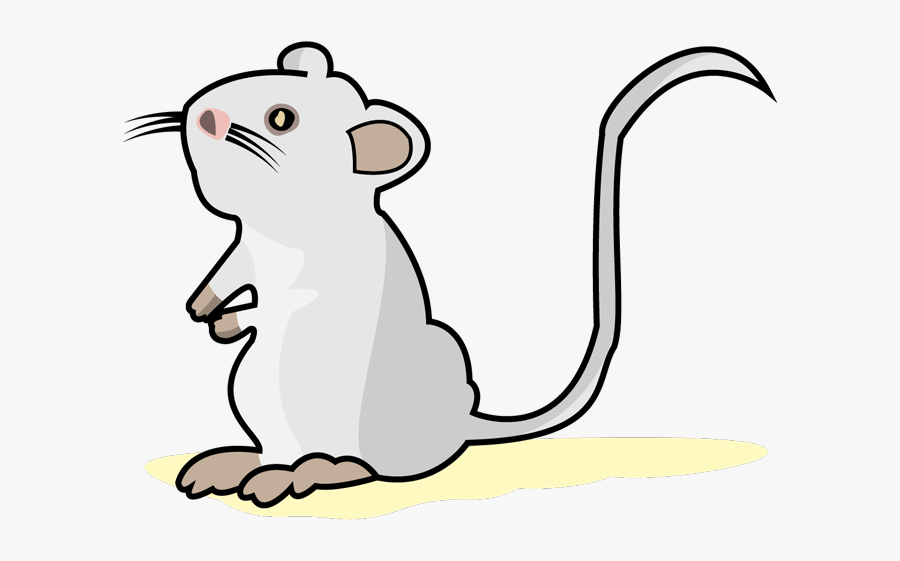 White Mouse - Cartoon , Free Transparent Clipart - ClipartKey