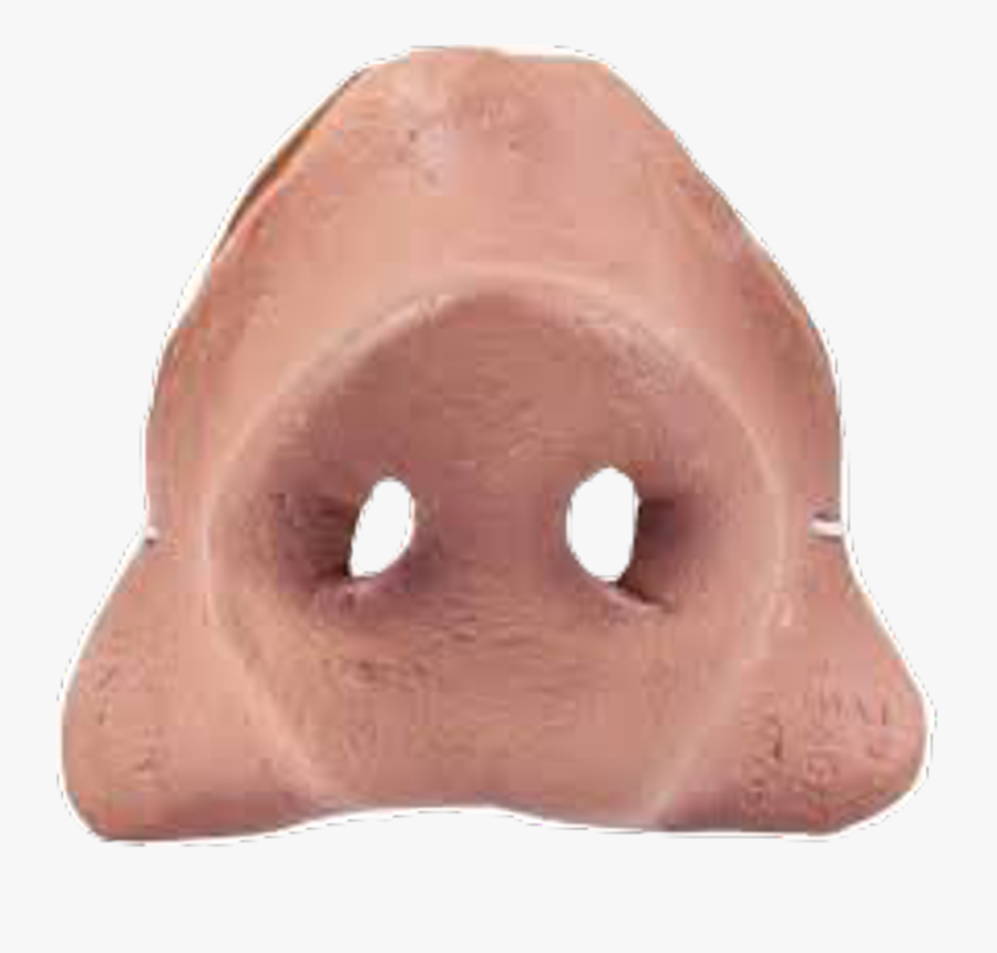 Pig Nose Png - Pig Nose Clip Art , Free Transparent Clipart - ClipartKey
