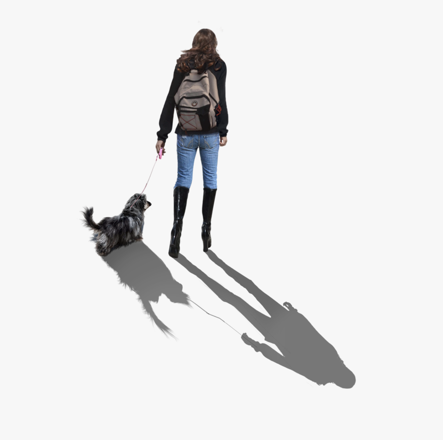 Transparent Dog Png Clipart - Walking Shadows Png , Free Transparent ...