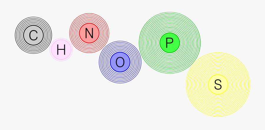 Chnops - Elements Of Living Organisms , Free Transparent Clipart ...