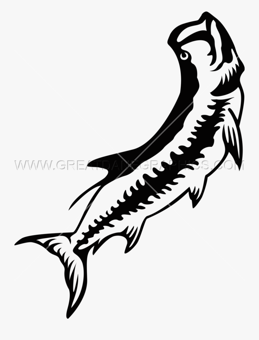 Tarpon Jumping Drawing , Free Transparent Clipart - ClipartKey
