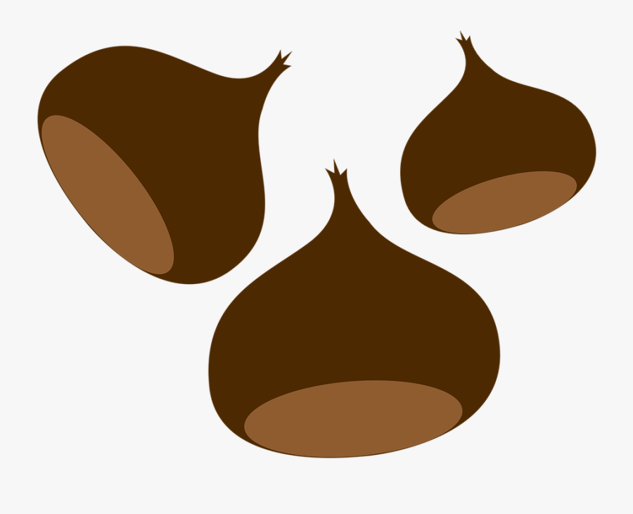 Transparent Chestnut Png - Chestnut Transparent , Free Transparent ...