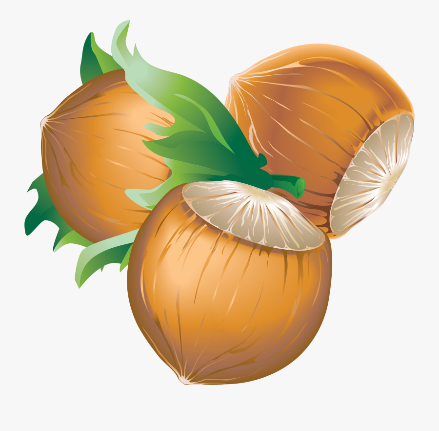 Chestnut Cliparts - Chest Nut Clip Art , Free Transparent Clipart ...