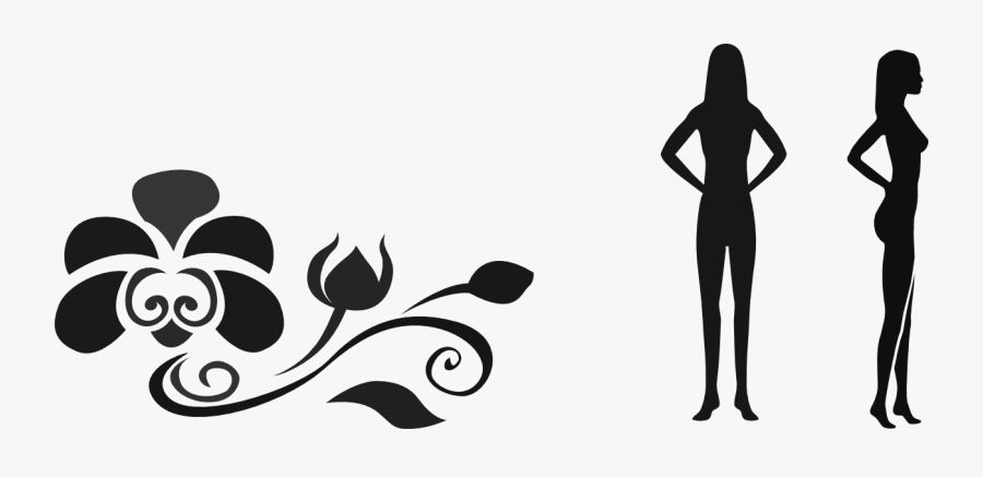 Orchid Body Shape Clipart , Png Download , Free Transparent Clipart ...