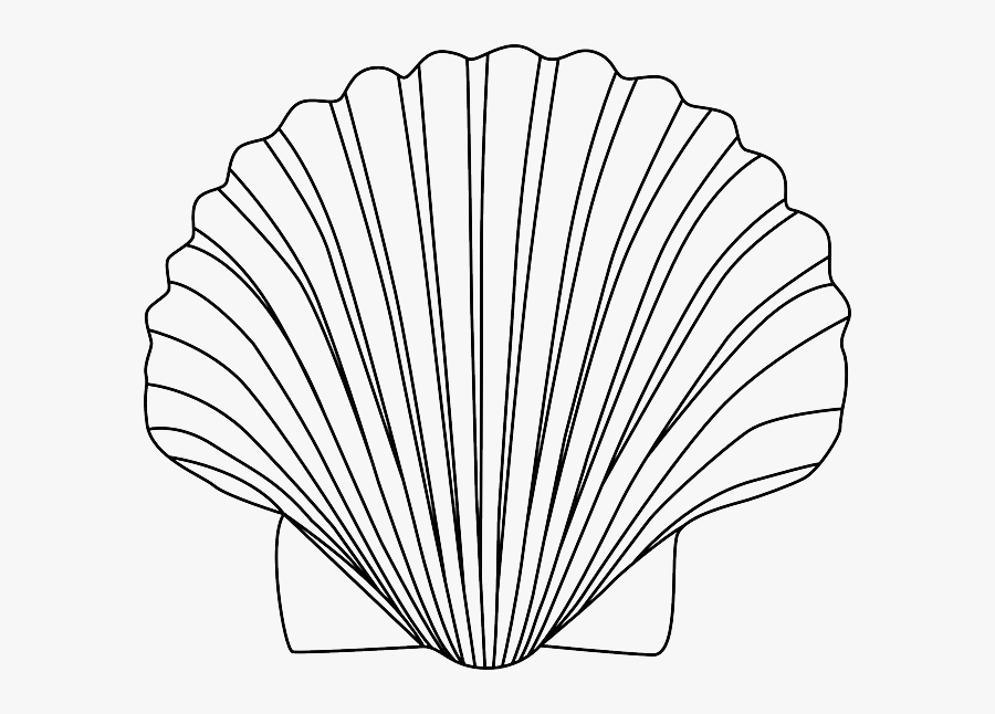 Shell, Animal, Biology, Bivalve, Mollusc - Shell Clip Art , Free ...