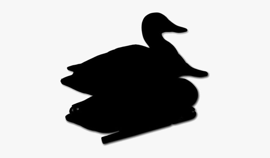 Transparent Female Mallard Png Clip Art, Transparent - Shadow , Free ...
