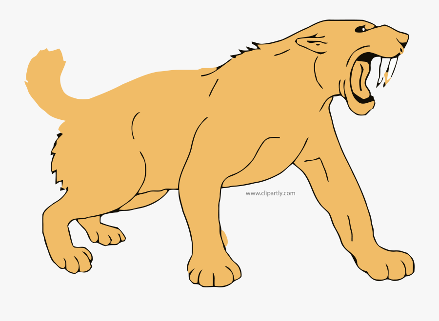Transparent Saber Tooth Tiger Png - Clip Art Saber Tooth Tiger , Free ...