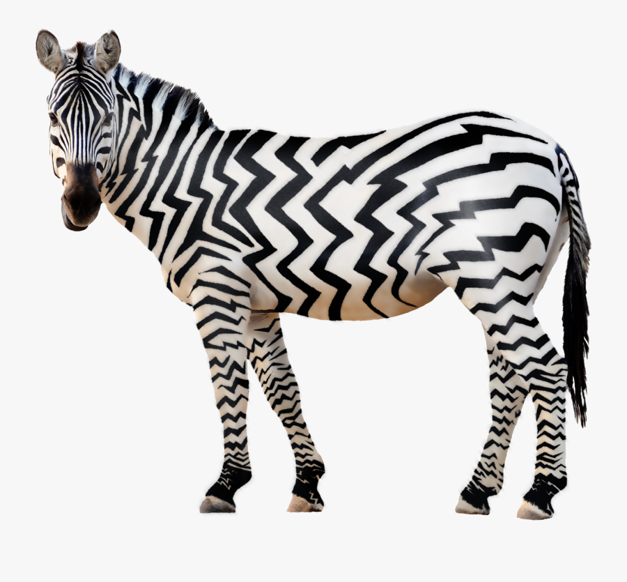 Zebra Png Free Download - Zebra Transparent , Free Transparent Clipart ...