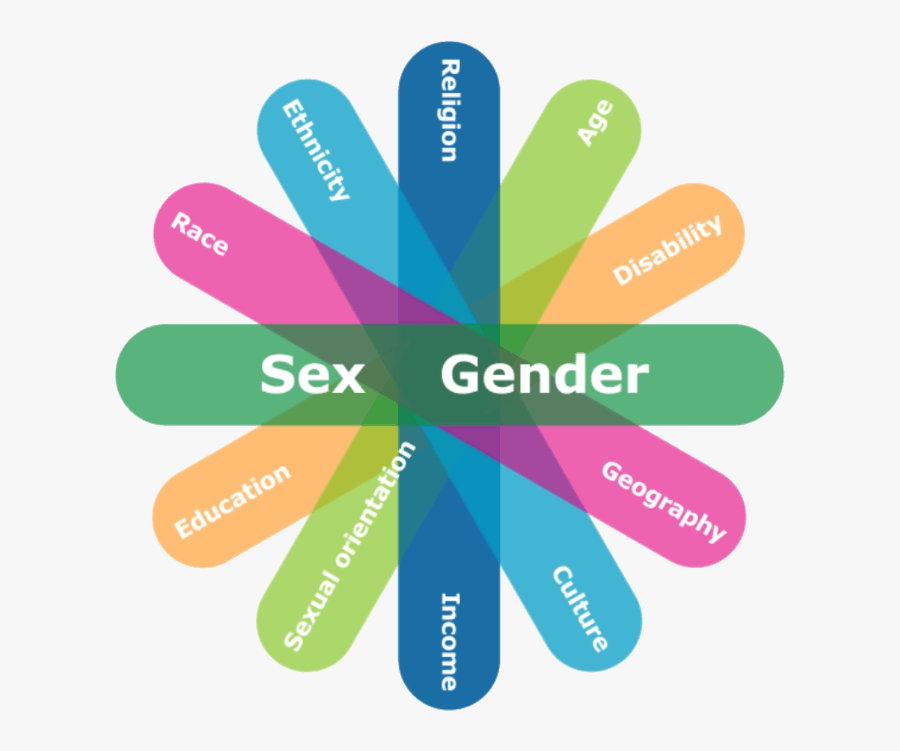Gender Intersectionality , Free Transparent Clipart - ClipartKey
