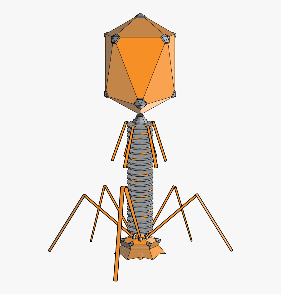 Lambda Phage , Free Transparent Clipart - ClipartKey Lambda Phage , Free Transparent Clipart - ClipartKey
