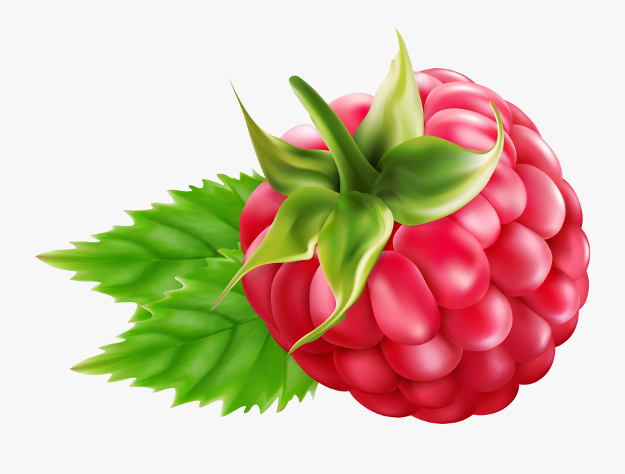 Transparent Png Clip Art - Transparent Background Raspberries Clipart ...