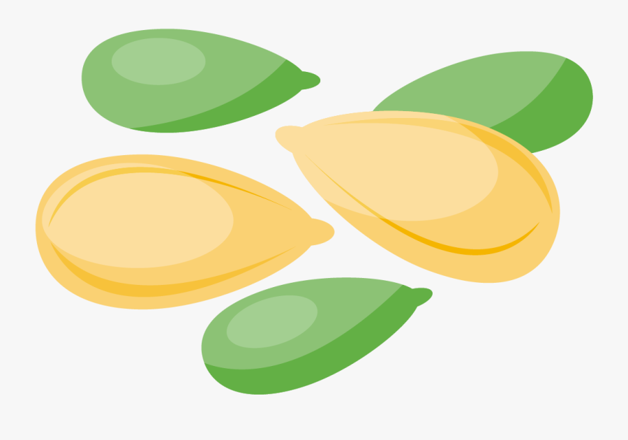 Pumpkin Seeds Vector , Free Transparent Clipart - ClipartKey