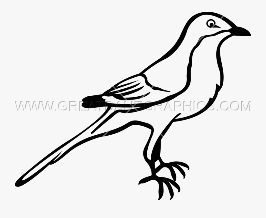 Mockingbird Clipart Texas Mockingbird - Northern Mockingbird Easy ...