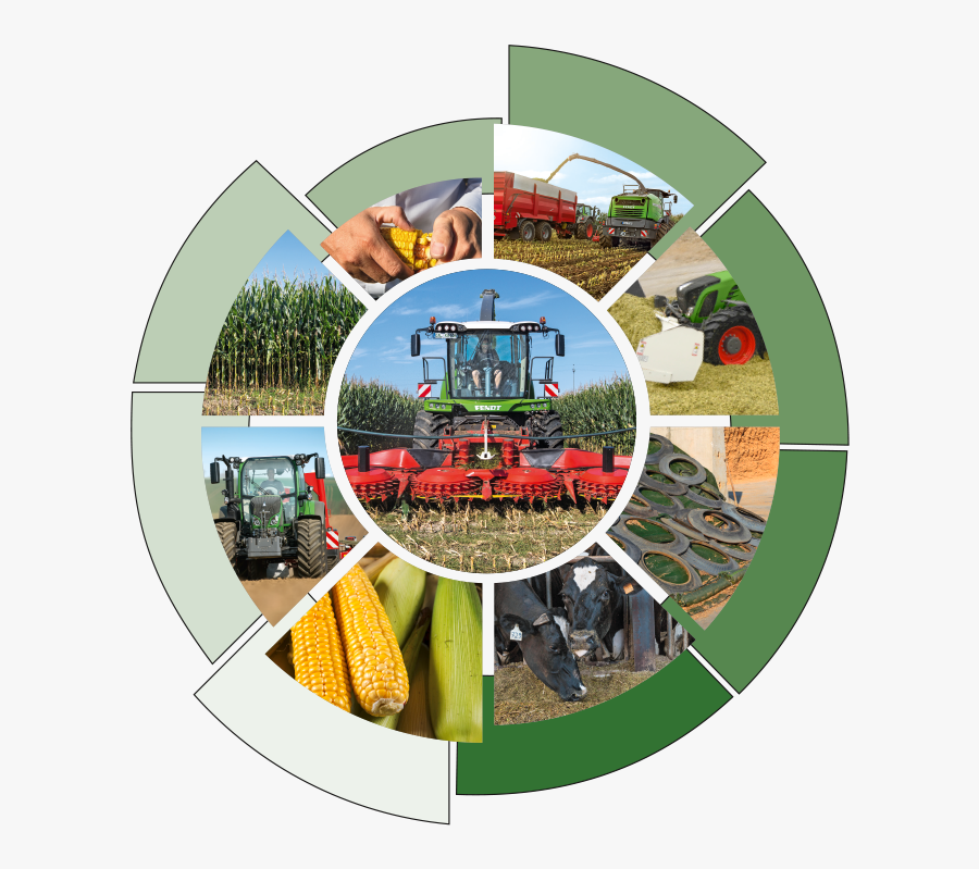 Silo Production Factsheet - Circle , Free Transparent Clipart - ClipartKey