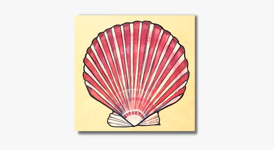 Scallop Shell - Paper , Free Transparent Clipart - ClipartKey