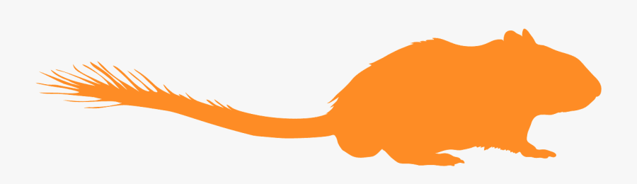 Gerbil Silhouette , Free Transparent Clipart - ClipartKey