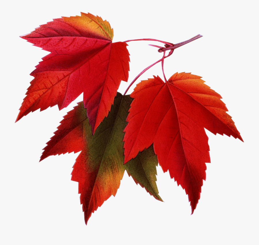 Fall Clipart Vintage - Fall Image For Email Signature , Free ...