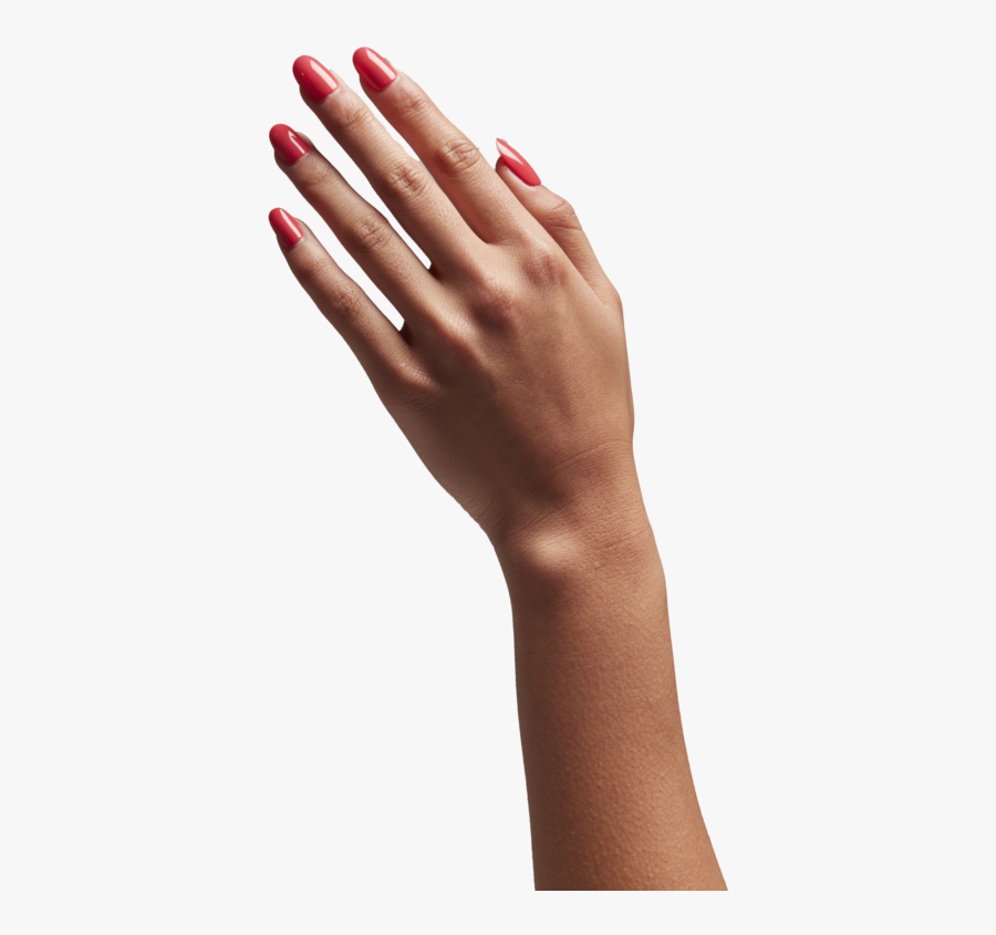 Transparent Black Hand Png , Free Transparent Clipart - ClipartKey