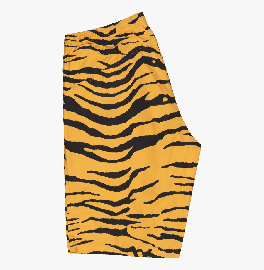 Transparent Tiger Print Png , Free Transparent Clipart - ClipartKey