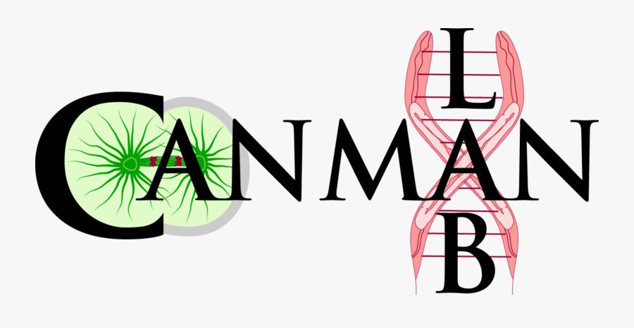 Lab Clipart Pathologist - Graphic Design , Free Transparent Clipart ...