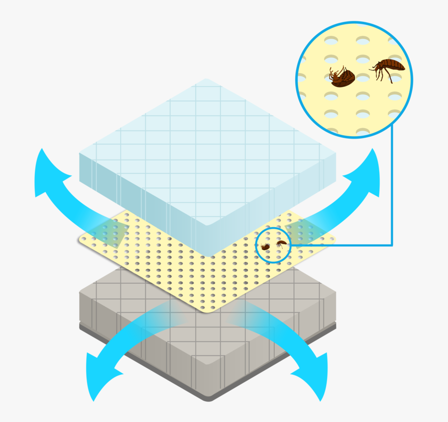 Arthropad Bed Bug Mattress Protector - Illustration , Free Transparent ...