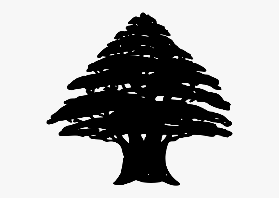Cedar Tree Lebanese Flag , Free Transparent Clipart - ClipartKey