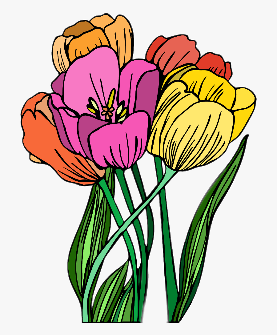Transparent Spring Tulips Clipart - Tulipa Humilis , Free Transparent ...