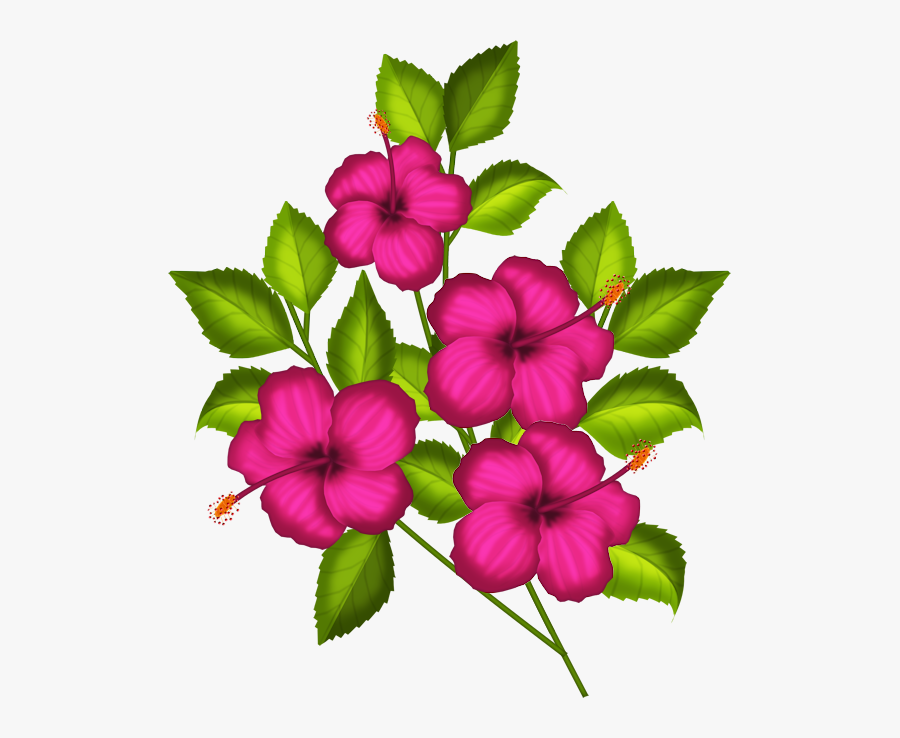 Periwinkle , Free Transparent Clipart - ClipartKey