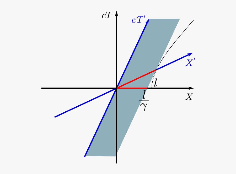 Theory Of Relativity Length Lorentz Muscle Transformation - Dilatación ...