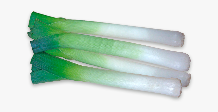 Leek Png - Leek , Free Transparent Clipart - ClipartKey