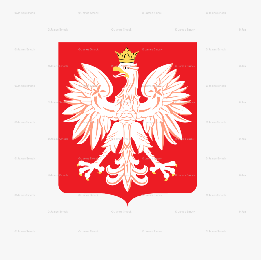 Godło Polski Clipart , Png Download - Poland Logo Png , Free ...