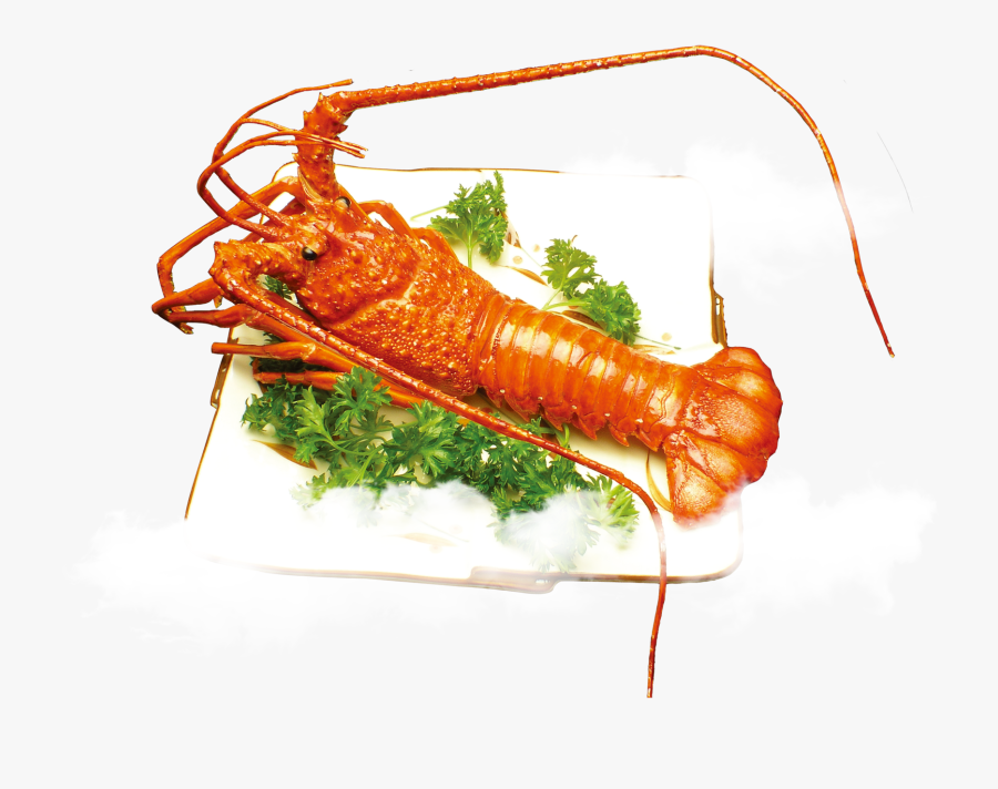 Lobster Meat Png - Lobster , Free Transparent Clipart - ClipartKey