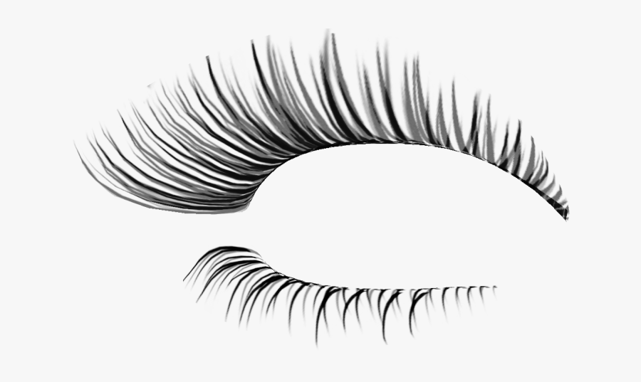 Eyelash Png - Transparent Background Eyelashes Transparent , Free ...
