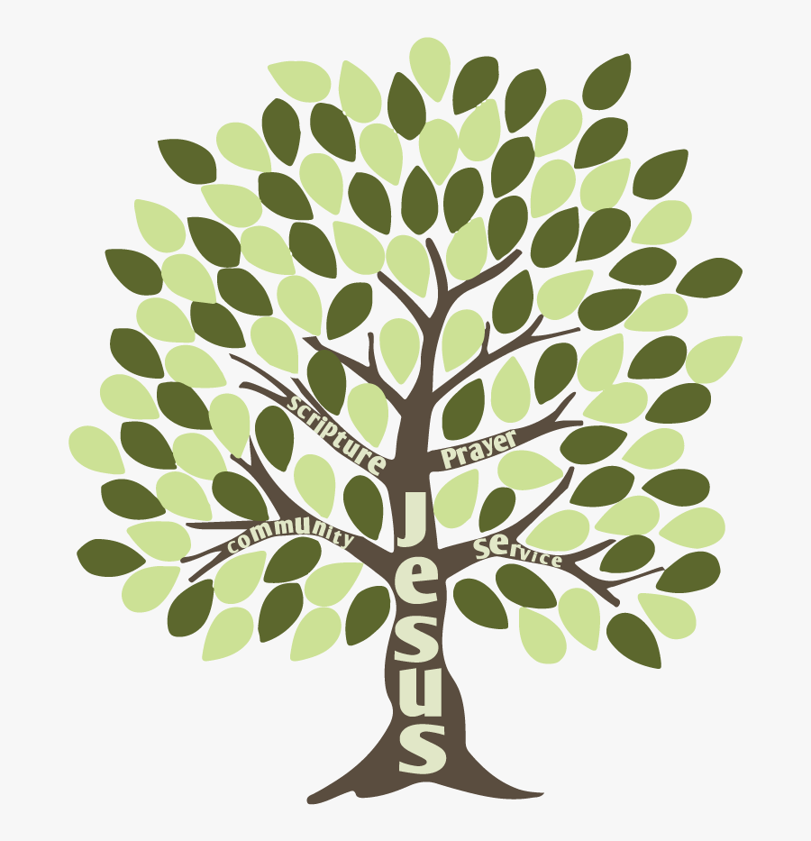 Holy Apostles Tree Clipart , Png Download - Illustration , Free ...