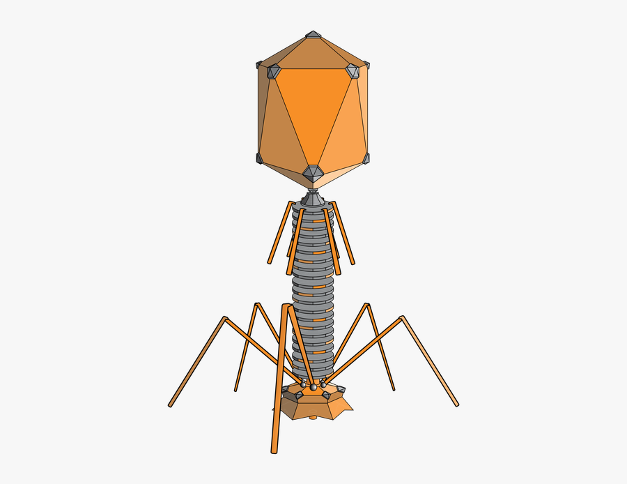 Bacteriophage - Bacteriophage Svg , Free Transparent Clipart - ClipartKey Bacteriophage - Bacteriophage Svg , Free Transparent Clipart - ClipartKey