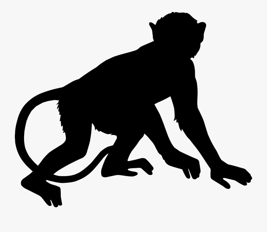 Transparent Real Monkey Png - Silhouette Monkey Png , Free Transparent ...