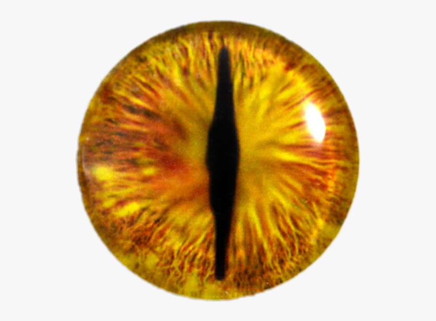 Yellow Dragon Eye , Png Download - Yellow Dragon Eye Png , Free ...