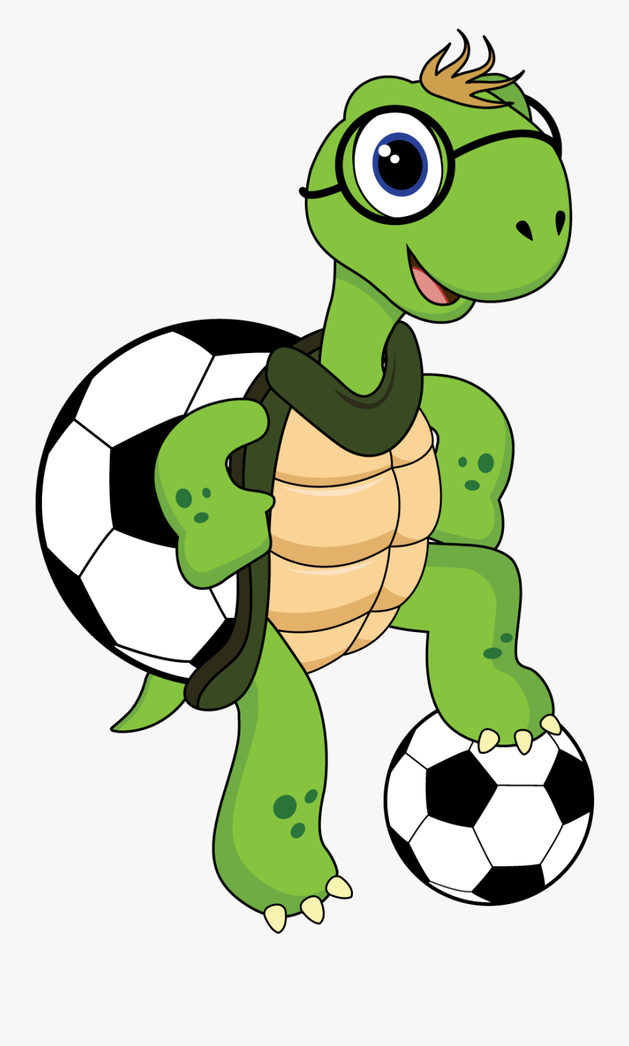 Cartoon Turtle Sport , Free Transparent Clipart - ClipartKey