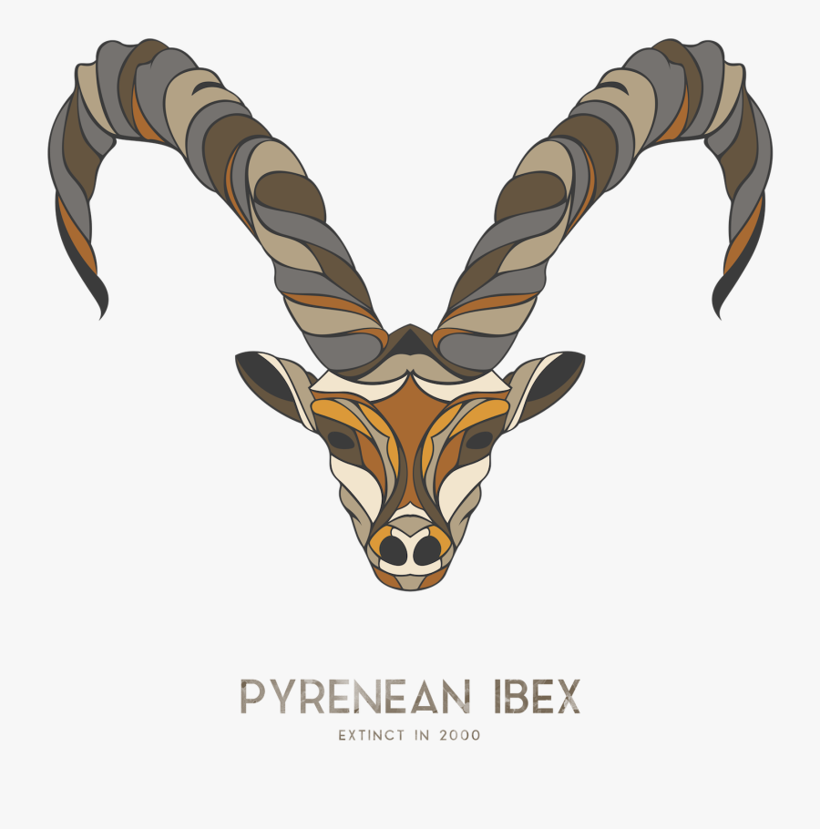 Pyrenean Ibex , Free Transparent Clipart - ClipartKey