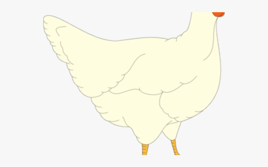 White Chicken Cliparts - Chicken , Free Transparent Clipart - ClipartKey