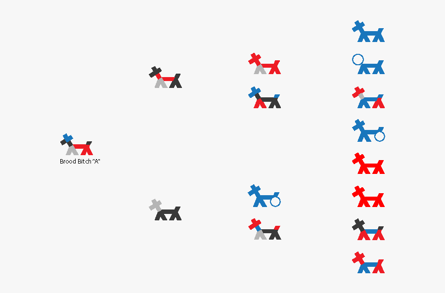 Transparent Pedigree Logo Png - Cartoon , Free Transparent Clipart ...